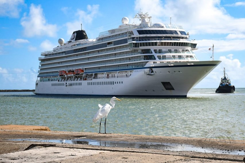 Viking Jupiter: conheça características, interiores e mais - Portal ...